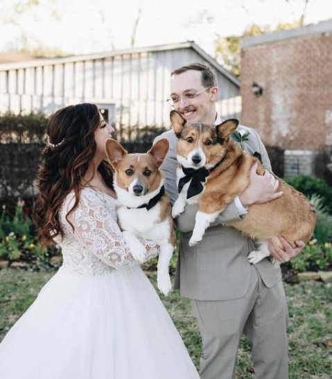 4 Ways to Incorporate Animals into Your Wedding